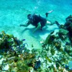 Puerto Morelos: Scuba Experience with Gear & Instructor - Introduction: What This Experience Offers