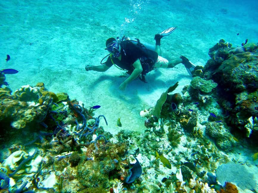 Puerto Morelos: Scuba Experience with Gear & Instructor - Introduction: What This Experience Offers