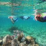 Puerto Morelos: Snorkel in Coral Reef with transportation - Who Should Consider This Tour?