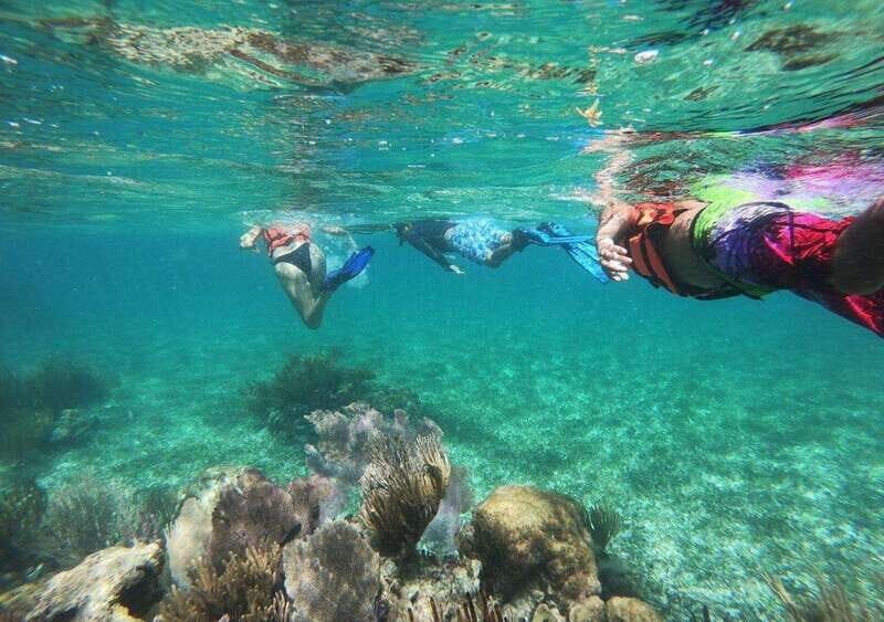 Puerto Morelos: Snorkel in Coral Reef with transportation - Who Should Consider This Tour?