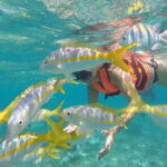 Puerto Morelos: Snorkeling at The National Reef Park - Why This Tour Matters: The Bigger Picture