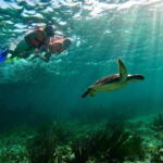 Puerto Morelos: Snorkeling Guided Activity - The Guides and Equipment