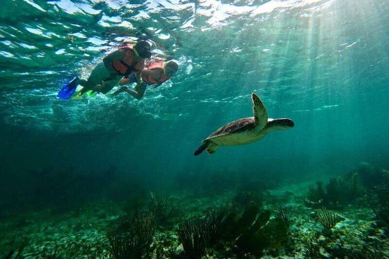 Puerto Morelos: Snorkeling Guided Activity - The Guides and Equipment