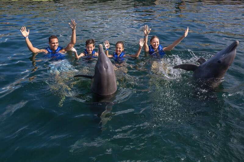 Puerto Morelos: Swim with Dolphins - The Activities: Playful, Informative, and Respectful