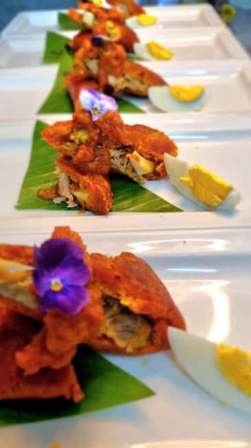 Puerto Morelos: Tequila University Gourmet Experience - Authenticity and Traveler Feedback