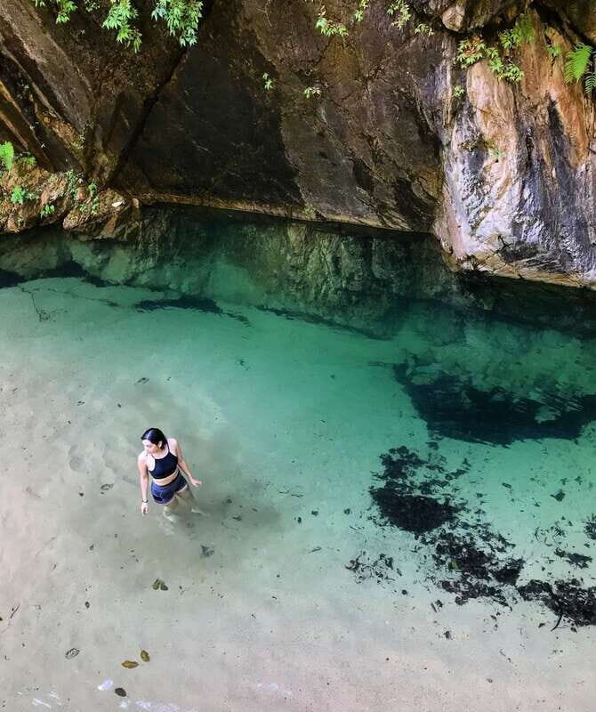 Puerto Vallarta: 4-Hour Jungle Hike and Waterfall Swim - What To Expect: Practical Tips and Insights