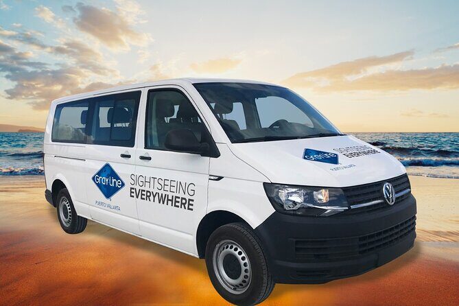 Puerto Vallarta Airport to Hotel Private Transfer by Minivan - Who Will Benefit Most?