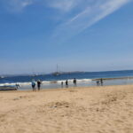 Puerto Vallarta: Beach Tour Experience - Who Will Love This Tour?