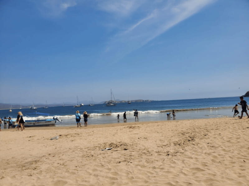 Puerto Vallarta: Beach Tour Experience - Who Will Love This Tour?