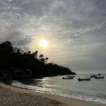 Puerto Vallarta: Bioluminescence in Los Arcos Marine Park - What Makes This Tour Special