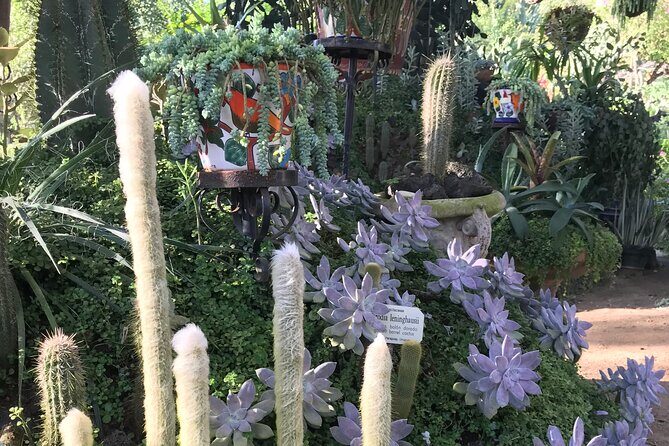 Puerto Vallarta Botanical Garden Tour with University Biologist - Practical Details: Making the Most of Your Tour