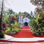 Puerto Vallarta: Botanical Gardens, Distillery & Coffee Tour - The Significance of Conservation and Education
