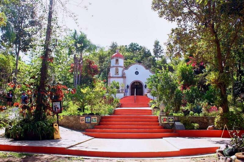Puerto Vallarta: Botanical Gardens, Distillery & Coffee Tour - The Significance of Conservation and Education