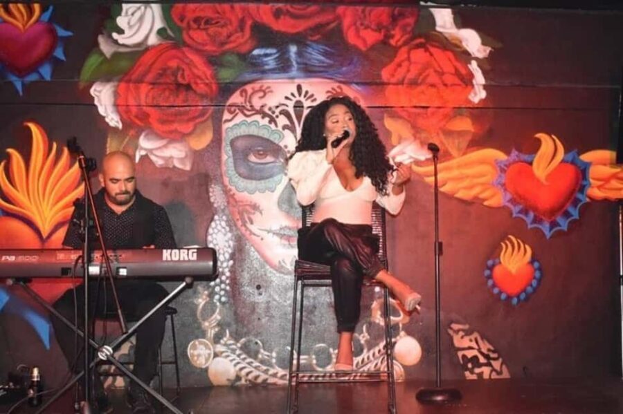 Puerto Vallarta: Cabaret Show with Cocktails & Costumes - The Entertainment