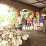 Puerto Vallarta: City Tour, Tequila and Coffee Factory Tour - The Overall Experience: What Travelers Are Saying