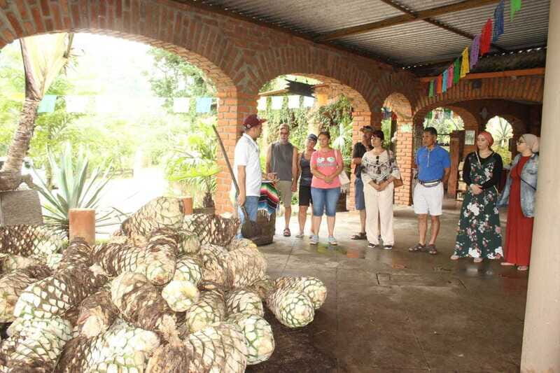 Puerto Vallarta: City Tour, Tequila and Coffee Factory Tour - The Overall Experience: What Travelers Are Saying