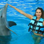 Puerto Vallarta: Dolphin Swimming and Aquaventuras Park - Detailed Breakdown of the Itinerary