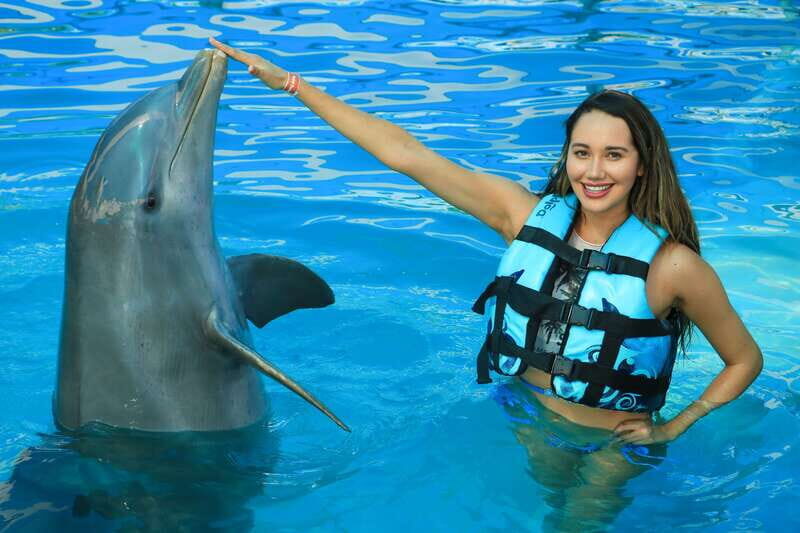 Puerto Vallarta: Dolphin Swimming and Aquaventuras Park - Detailed Breakdown of the Itinerary
