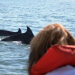 Puerto Vallarta: Dolphin Watching Cruise with a Biologist - Who’s This Tour Perfect For?