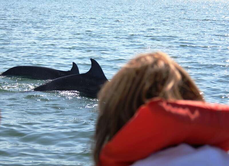 Puerto Vallarta: Dolphin Watching Cruise with a Biologist - Who’s This Tour Perfect For?