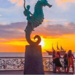 Puerto Vallarta: Exclusive Dive Adventure - Who This Tour Is Best For