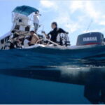 Puerto Vallarta: Exploring Majahuitas Underwater - What Makes This Tour Stand Out?