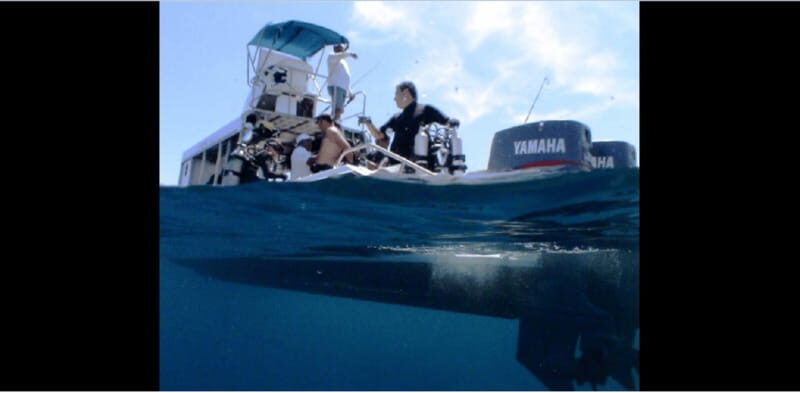 Puerto Vallarta: Exploring Majahuitas Underwater - What Makes This Tour Stand Out?