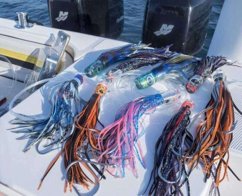 Puerto Vallarta: Fishing Cachi I 28 - What the Tour Includes and How It’s Structured