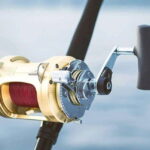 Puerto Vallarta: Fishing Lucky I 28 - Who Is This Tour Best For?