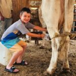 Puerto Vallarta: Hands-on Farm Experience from Cow to Cheese - Practical Details