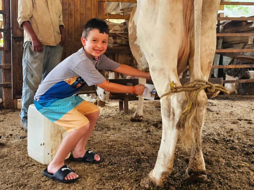 Puerto Vallarta: Hands-on Farm Experience from Cow to Cheese - Practical Details