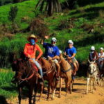 Puerto Vallarta: Horseback Riding Adventure at Canopy River - What’s Included and What to Know