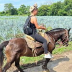 Puerto Vallarta: Horseback Riding at Hacienda Doña Engracia - What the Tour Includes and Its Value