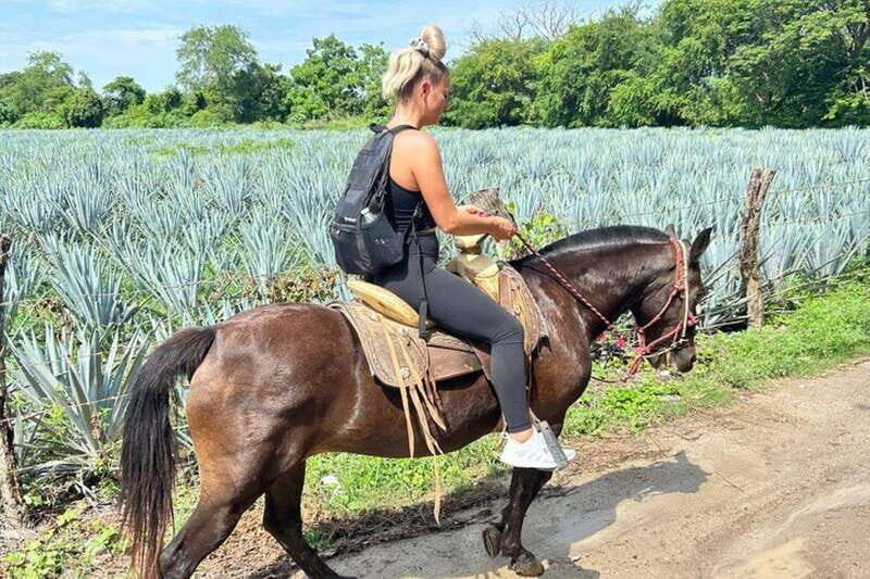 Puerto Vallarta: Horseback Riding at Hacienda Doña Engracia - What the Tour Includes and Its Value