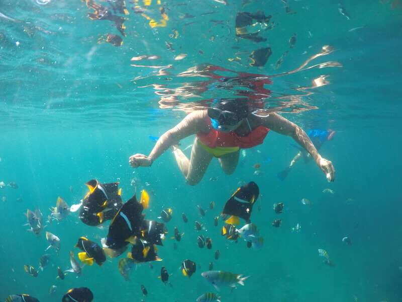 Puerto Vallarta: Luxury Yacht Tour with Lunch and Open Bar - Who Will Love This Tour?