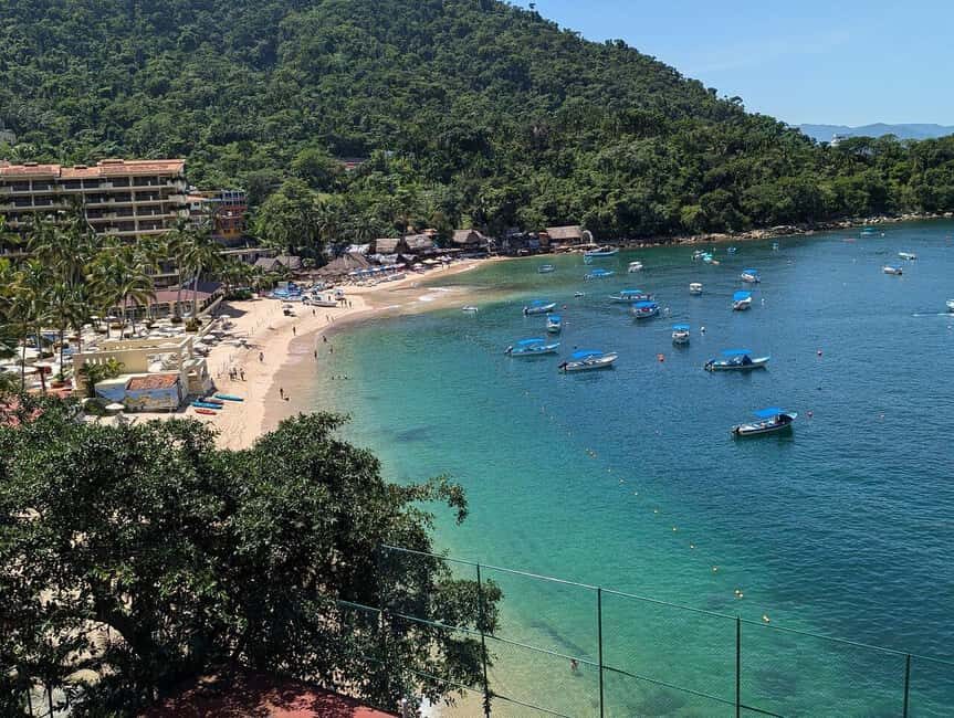 Puerto Vallarta: Private Colomitos & Madagascar Beaches Tour - Transport and Comfort