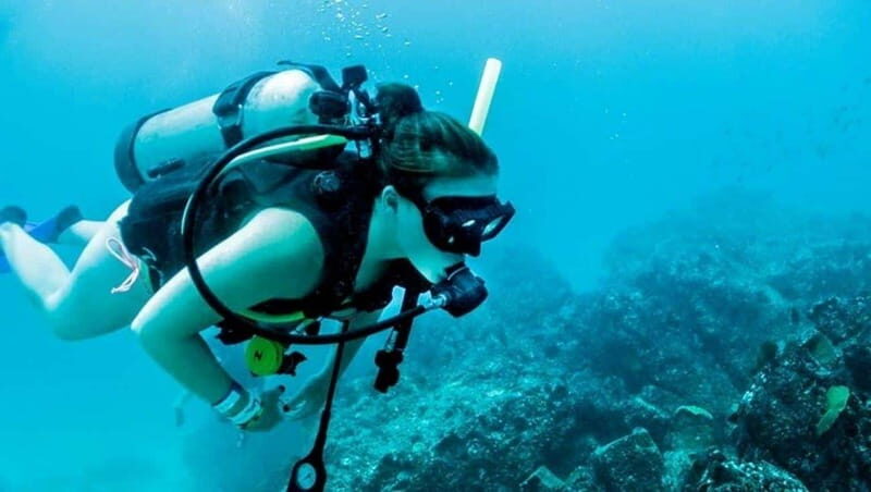 Puerto Vallarta: Scuba Dive at Los Arcos - Exploring Los Arcos: The Itinerary in Detail