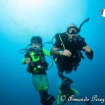 Puerto Vallarta: Scuba Diving Expedition at El Malinal - What To Expect: Detailed Breakdown