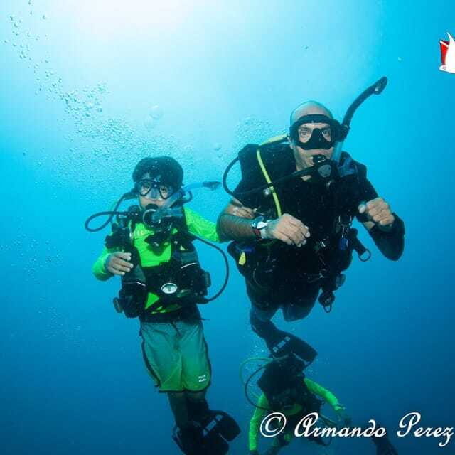 Puerto Vallarta: Scuba Diving Expedition at El Malinal - What To Expect: Detailed Breakdown