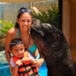 Puerto Vallarta: Sea Lion Discovery - The Experience’s Balance of Value and Enjoyment