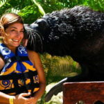 Puerto Vallarta: Sea Lion Discovery at Aquaventuras Park - Practical Tips for Your Visit