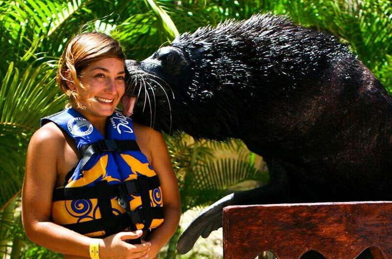Puerto Vallarta: Sea Lion Discovery at Aquaventuras Park - Practical Tips for Your Visit