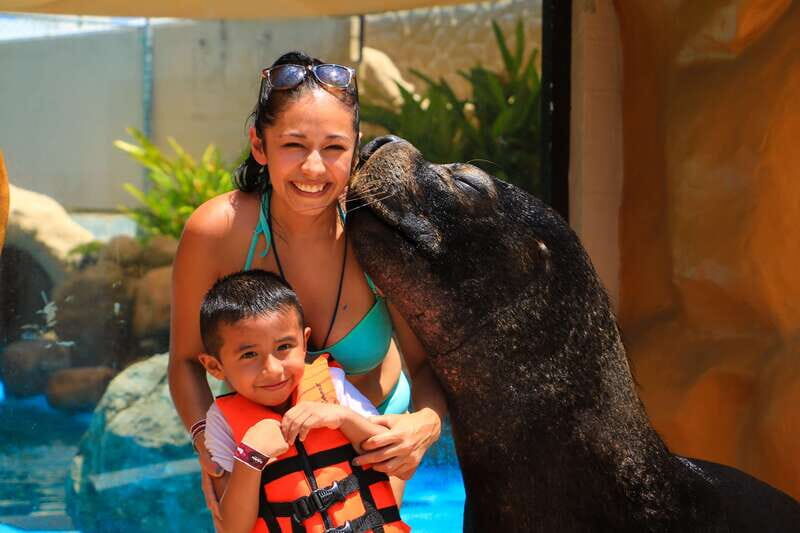 Puerto Vallarta: Sea Lion Discovery - The Experience’s Balance of Value and Enjoyment
