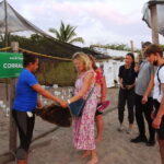Puerto Vallarta: Sea turtle release at Sunset - The Experience Itself: A Closer Look