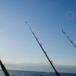 Puerto Vallarta: Shared Fishing - What You Can Expect During the Trip