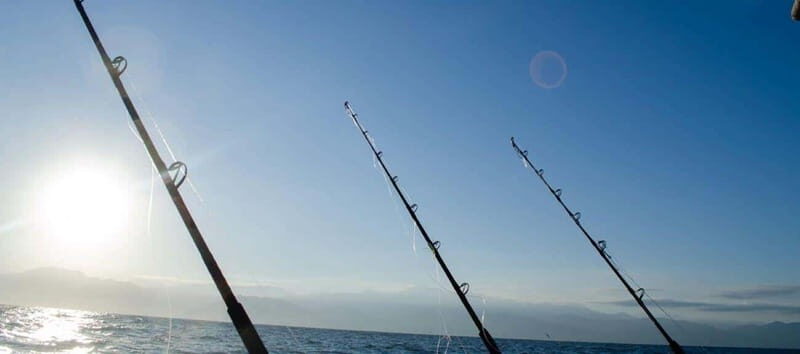 Puerto Vallarta: Shared Fishing - What You Can Expect During the Trip