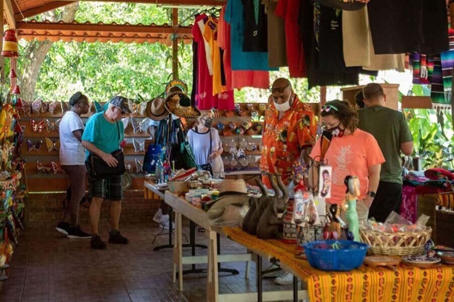 Puerto Vallarta: Tropical Tour - Scenic Highlights and Iconic Landmarks