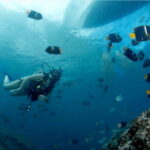Puerto Vallarta: Underwater Wonderland at Los Arcos - How the Tour is Structured