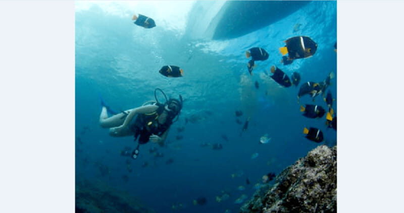 Puerto Vallarta: Underwater Wonderland at Los Arcos - How the Tour is Structured