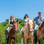 Puerto Vallarta: Wild Tour Horseback Adventure - Who Will Love This Tour?